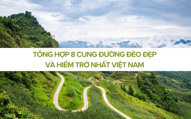 Top 8 Cung Đường Đèo Đẹp Nhất Việt Nam Hút Hồn Mọi Phượt Phủ